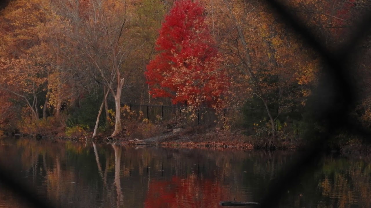 Nov 6, 2020 Sunset - YouTube