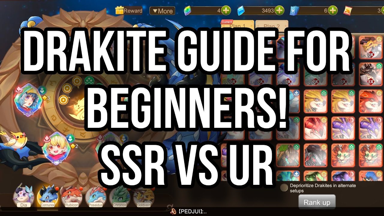 Draconia Saga : Drakite Guide for Beginners/ Newbie Guide / SSR vs UR ...