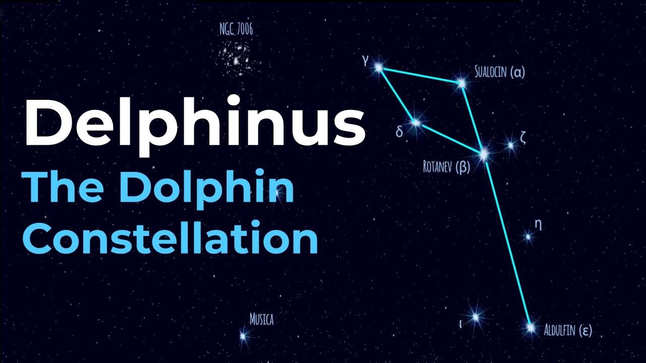 Delphinus Constellation