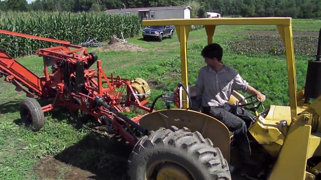 Carrot Harvest with Scott Viner Top-Lift Harvester - July 2018 - 3 ...