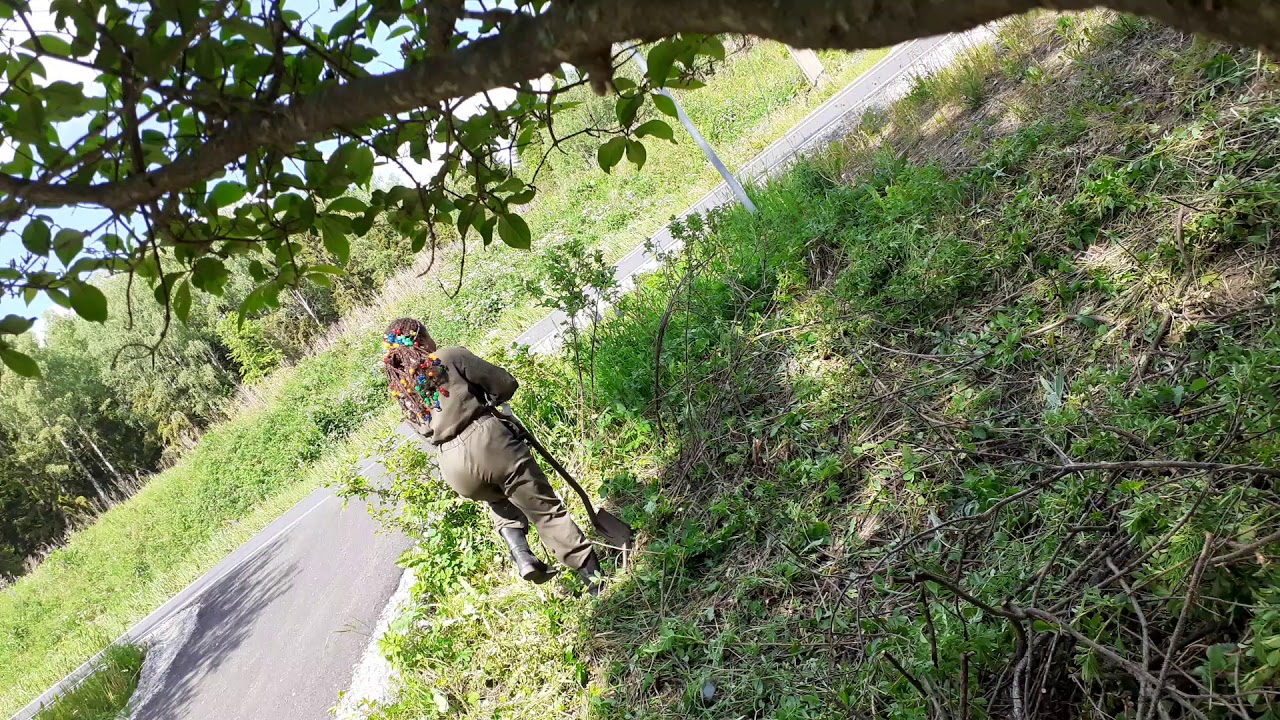 Precious Raymond musician and Band - YouTube