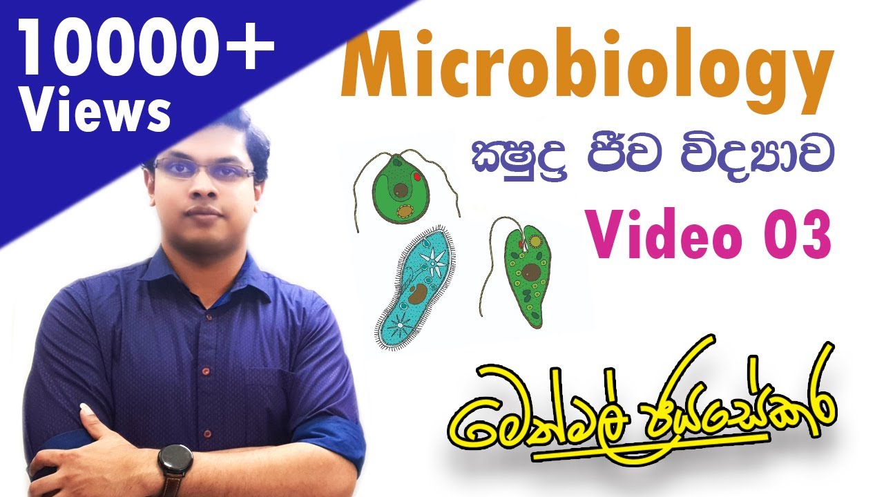 ක්‍ෂුද්‍රජීව විද්‍යාව - Microbiology - Video 03 - A/L Biology - YouTube