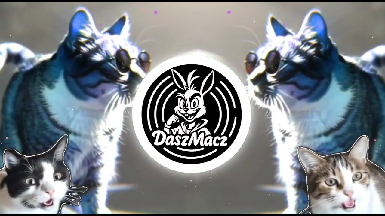 MEOW MEOW (CAT CLUB) - Lula & Buba ft. DJ Maj'aka | Brainrot Electro ...