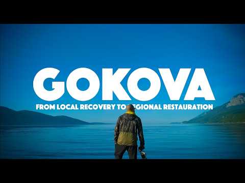 Gokova From local recovery to regional restauration