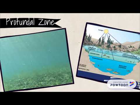 Lake Zones - YouTube