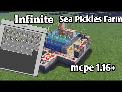 How to make infinite Sea Pickles Farm in mcpe 1.16+ - YouTube
