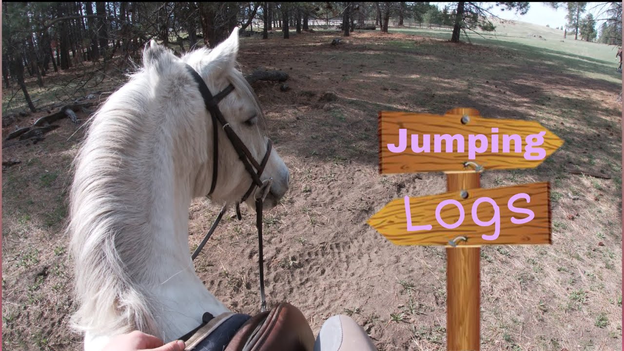 Jumping logs || GoPro video - YouTube