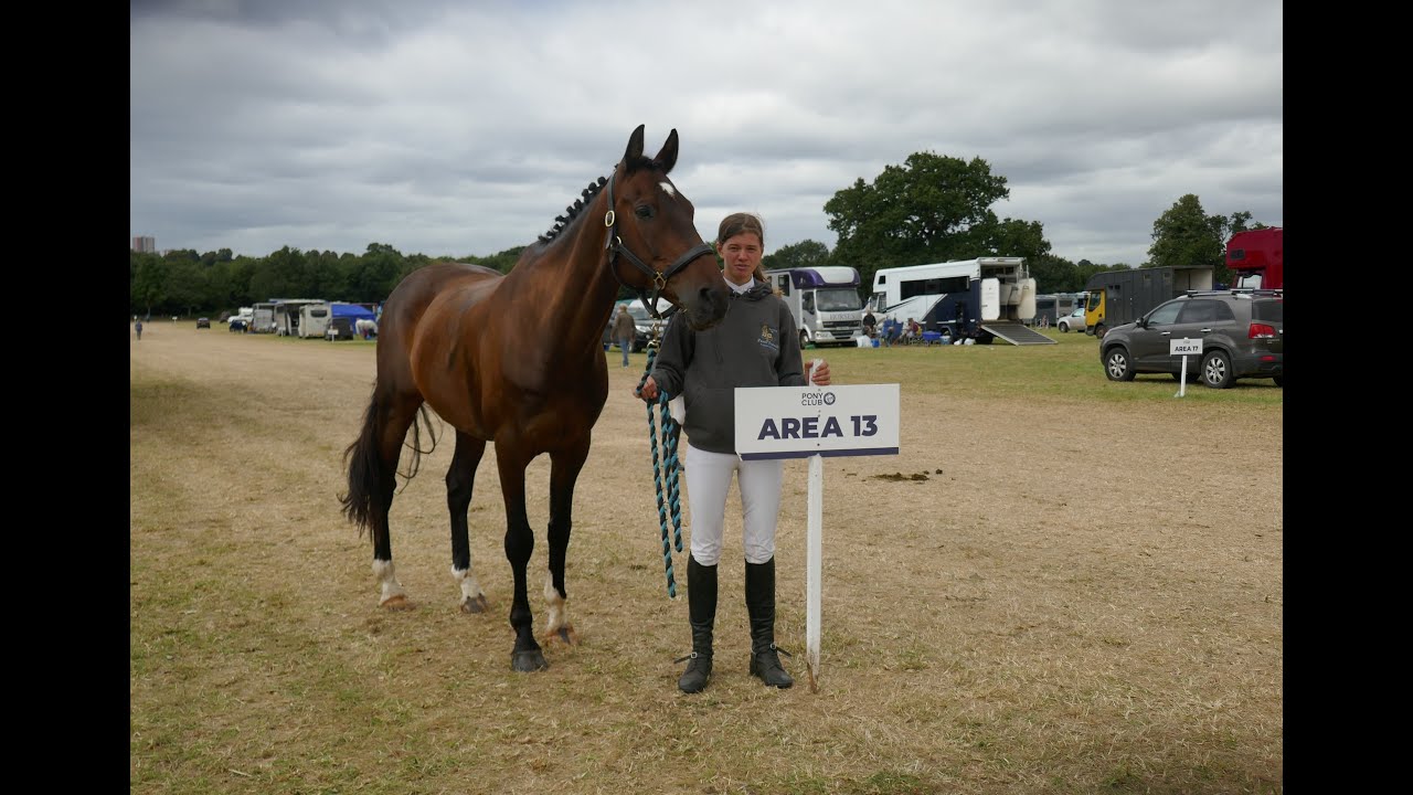 Pony club championships 2021 ~ Novice dressage and pc90 show jumping ...