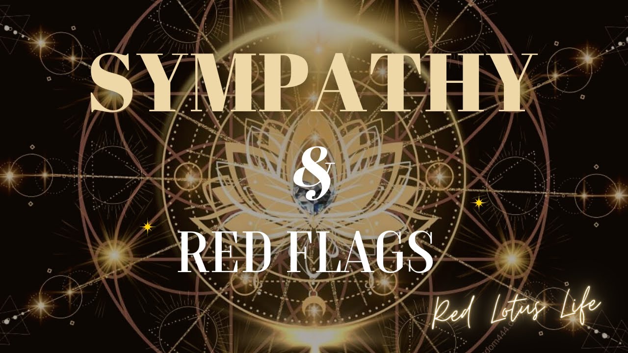 Embodiment: Sympathy/Red Flags - YouTube