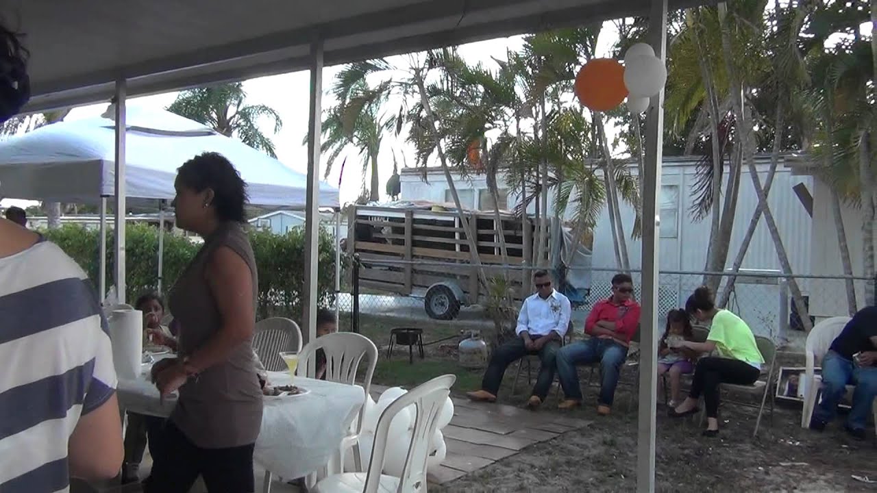 SONIDO KOALA 2012 laura razo algo chistosos de sonido koala.MTS - YouTube