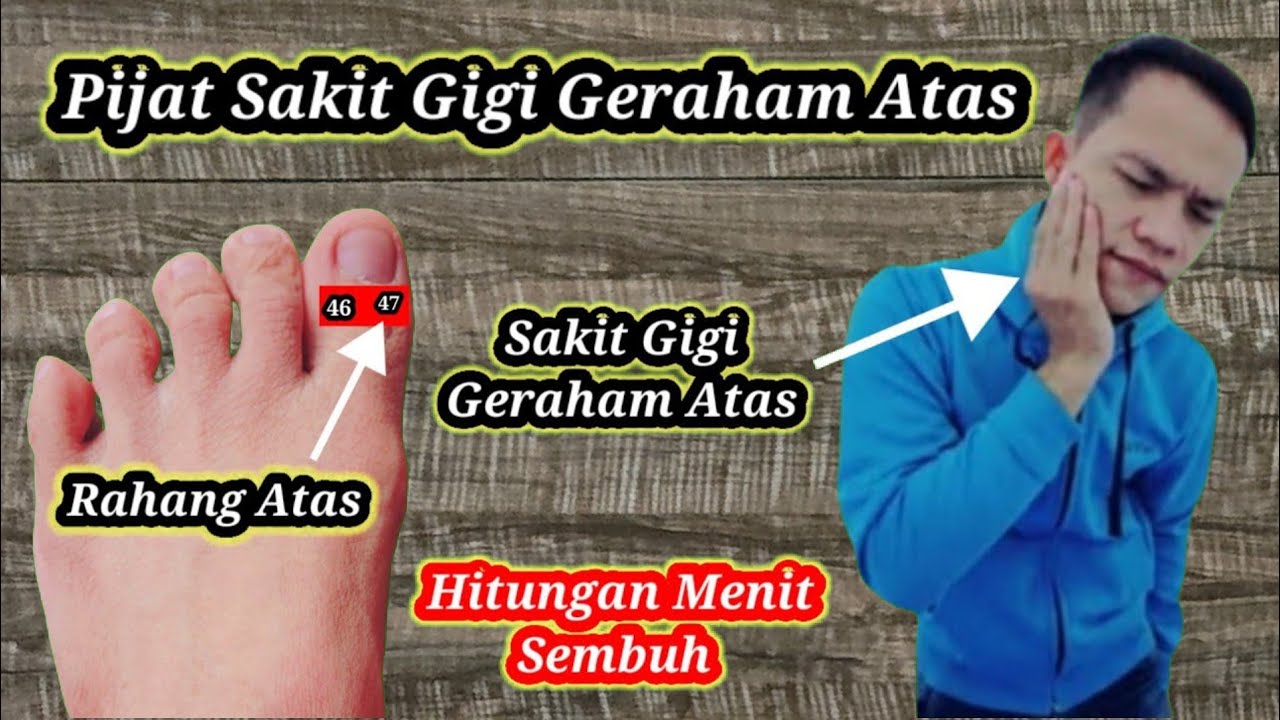 Pijat Sakit Gigi Geraham Atas - Cara Memijat Sakit Gigi Geraham Atas ...