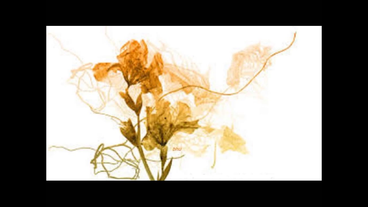 Karukavarambathu Kaithapoo kandente..... - YouTube