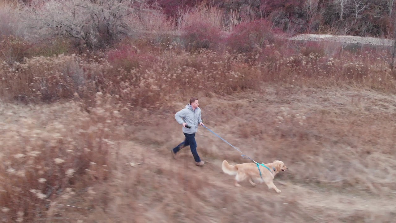 Walking Finn in December - YouTube