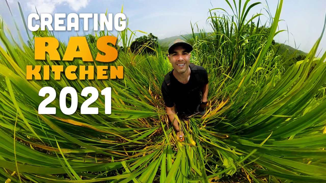 What I Use to Create Ras Kitchen in 2021! 📸🇯🇲🎬 - YouTube