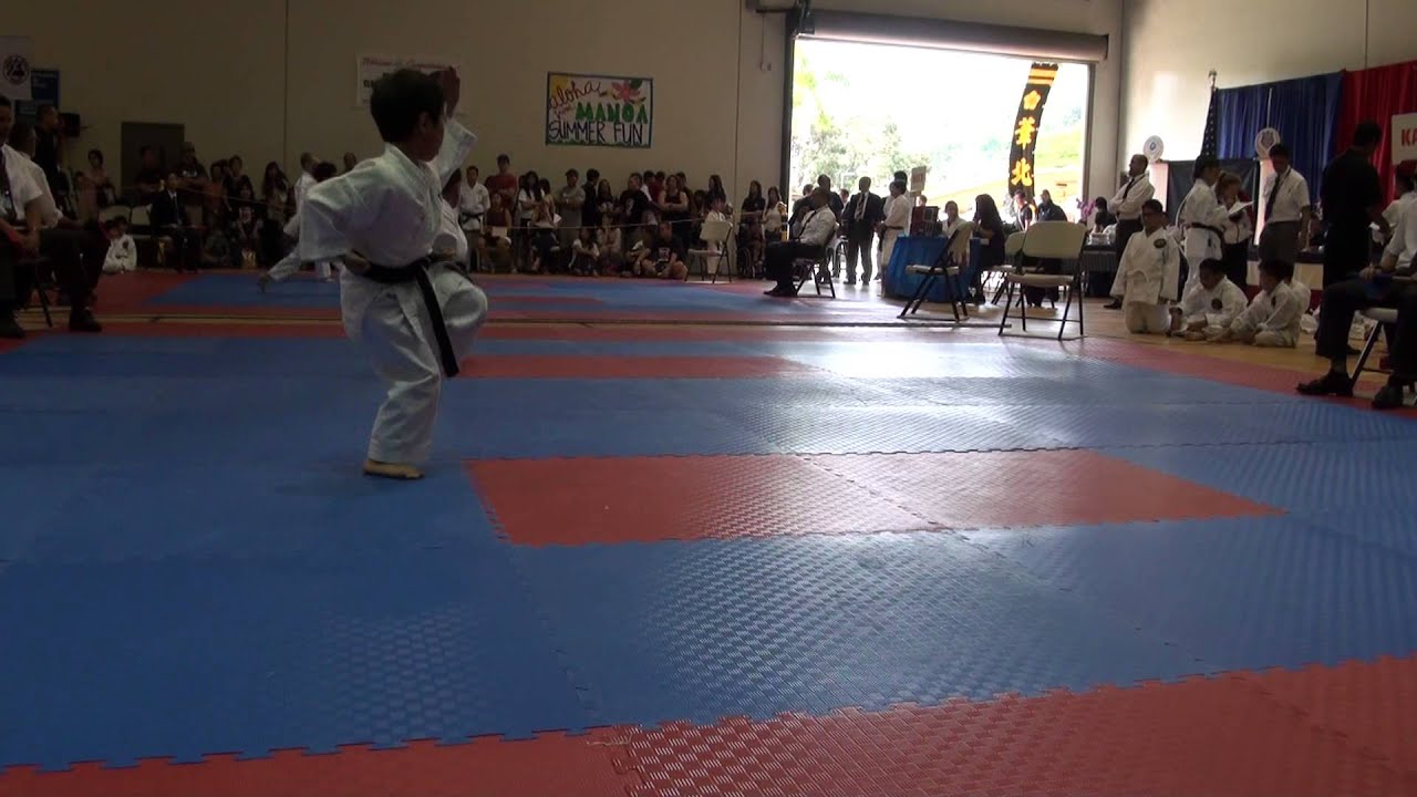 ALL HAWAII KARATE CHAMPIONSHIPS 11-23-2013 BOYS 7 YRS KATA - YouTube