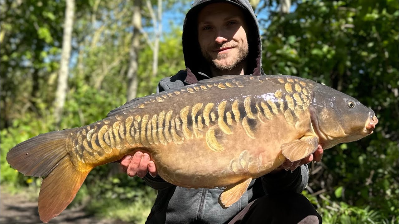 Trent view fishery! 48 hours session. vlog/insight into Trent view ...