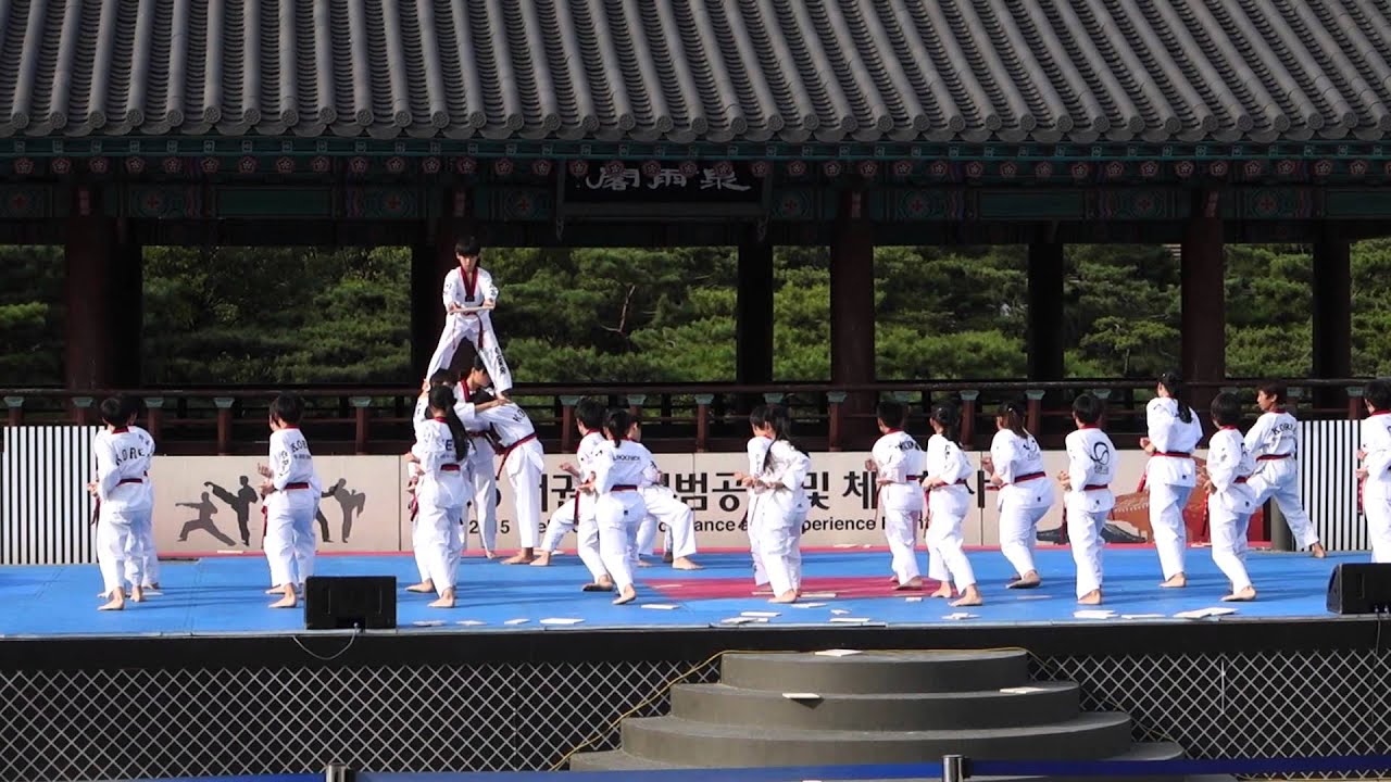 Taekwondo Kukkiwon Forms+Boards - YouTube