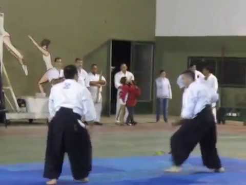 Aikidō Dentō Iwama Ryū - Aikidō Tradicional de Iwama - YouTube