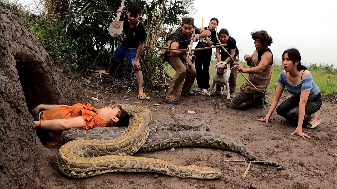 6 Brave Hunters With Pitbull Dog Confronting the Fierce Giant Python to Save the Girl . episode ...