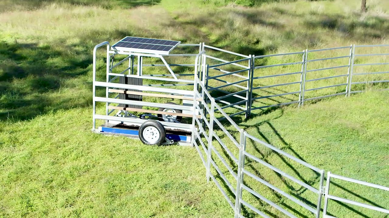 Introducing Remote Walk Over Weighing - YouTube