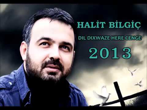 Siverekli   zaza  ergun  delibas