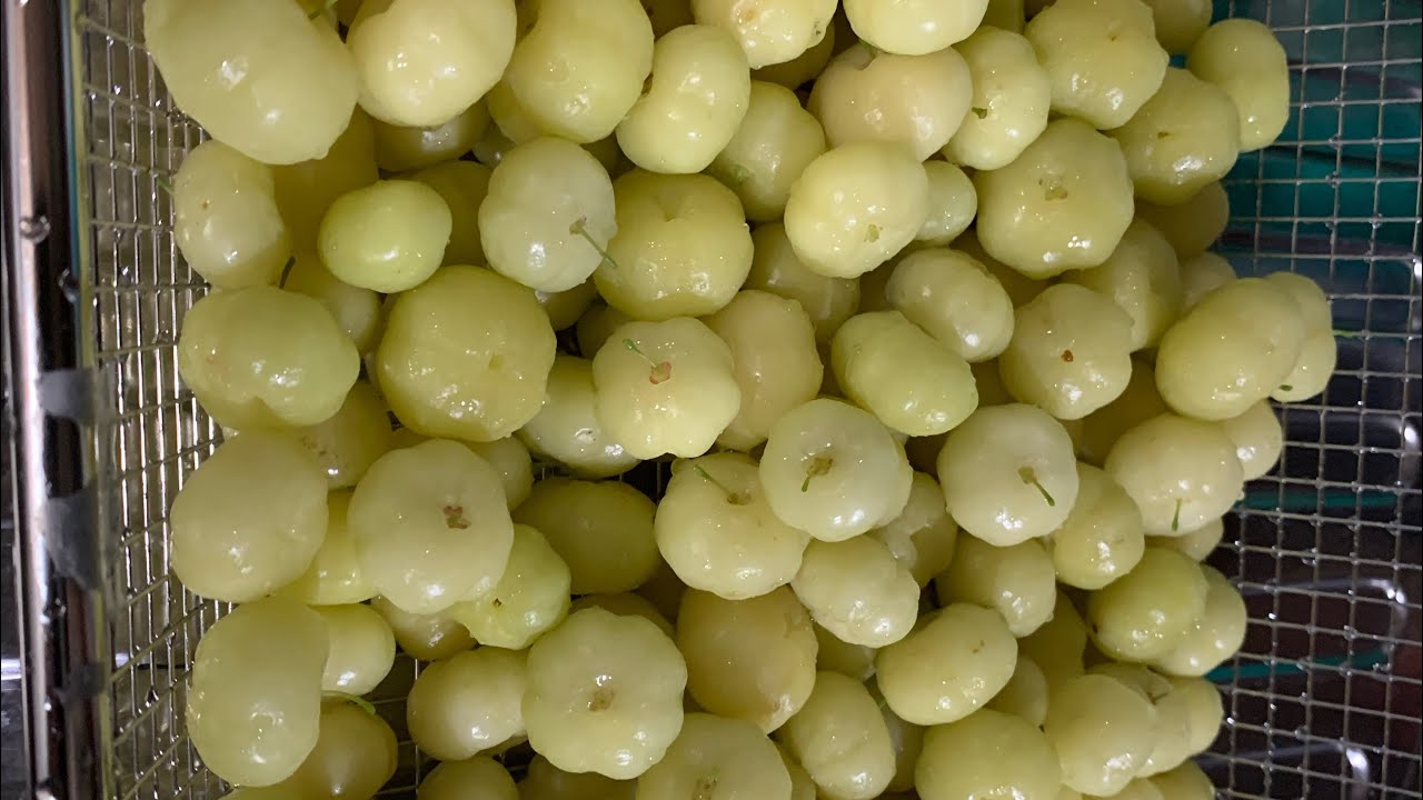 Karamay Or Star Gooseberry Fruit… How to clean it and preserve it ...