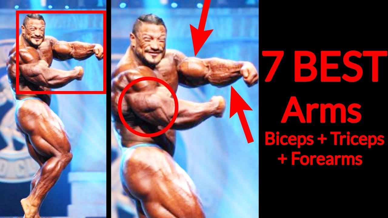 7 BEST Arms Ever (Biceps + Triceps + Forearms) - YouTube