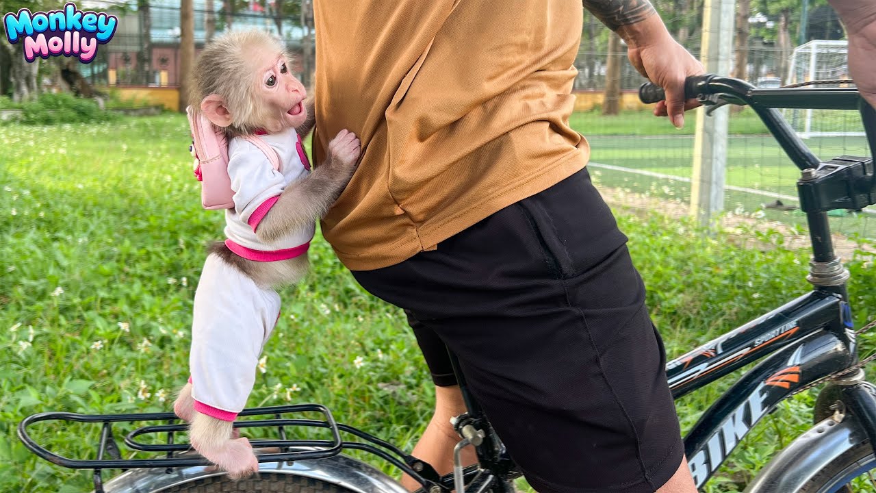 Monkey Molly’s First Fitness Session with Mom’s Husband – Full of ...