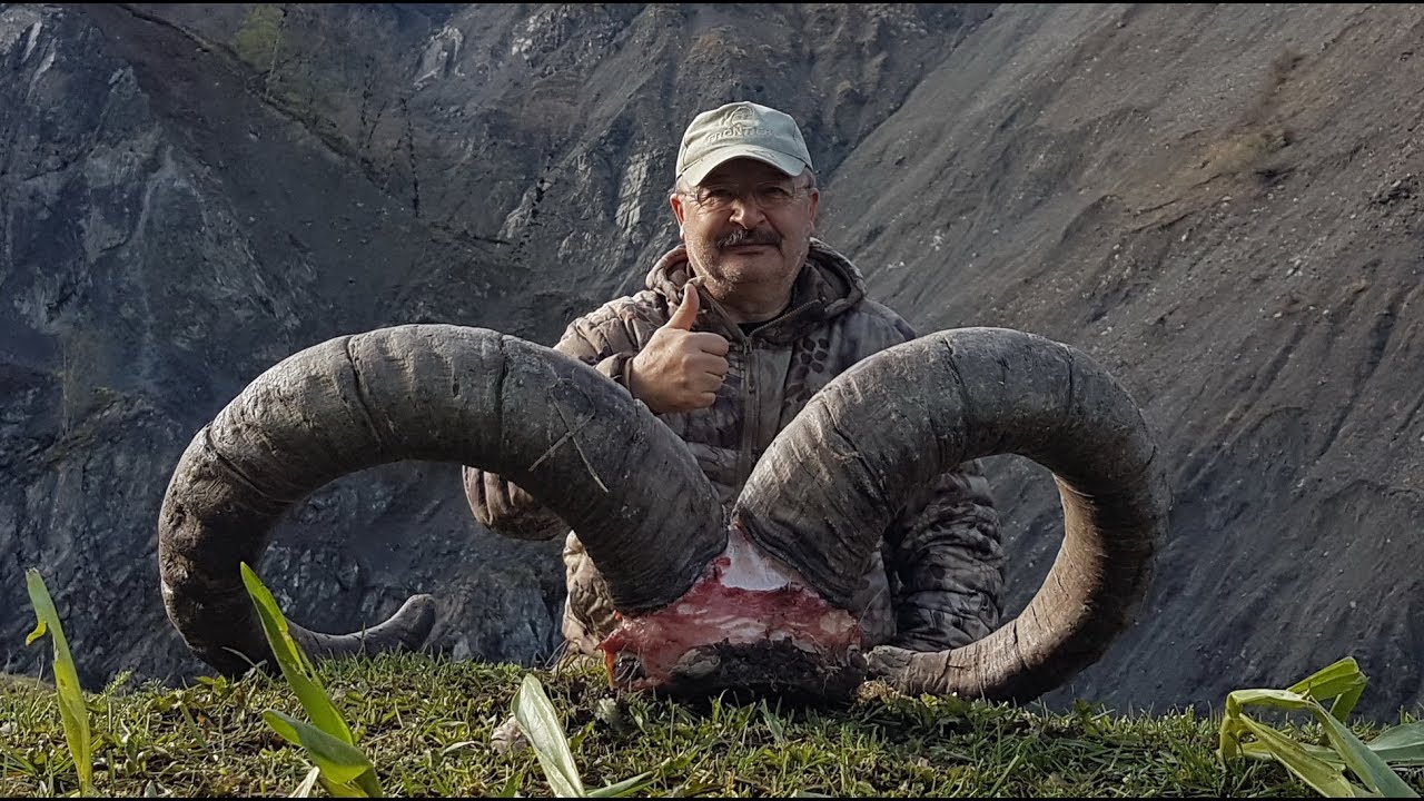 DAGESTAN TUR HUNTING HIGHLIGHTS - YouTube