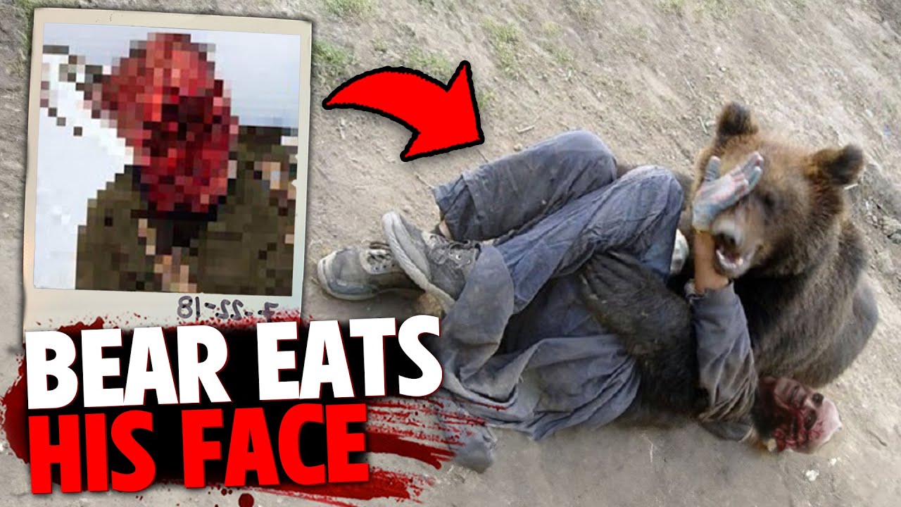 These 3 People Had Their Faces RIPPED OFF & Eaten By Grizzly Bears ...