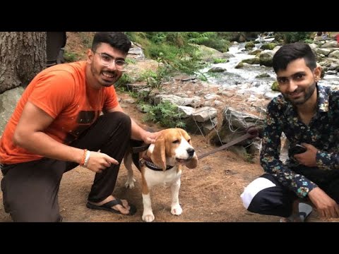 vlog 04 - soyal(Soil) village - Ramnesh kaura - YouTube
