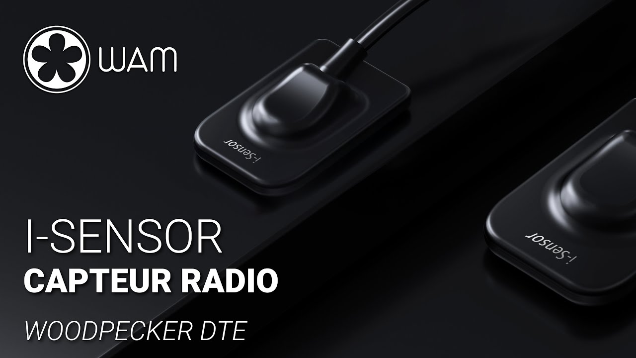 Woodpecker DTE - Capteur Radio intra-oral I-Sensor - Wamkey.com - YouTube
