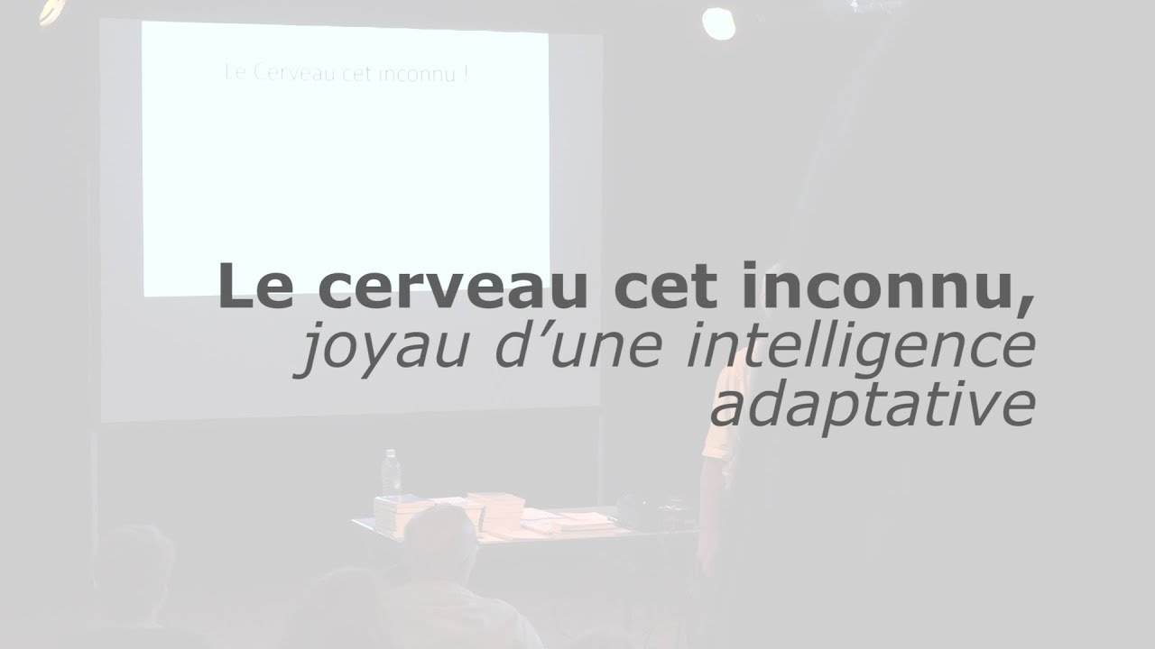 Le cerveau cet inconnu | Pierre Moorkens | UPA - YouTube
