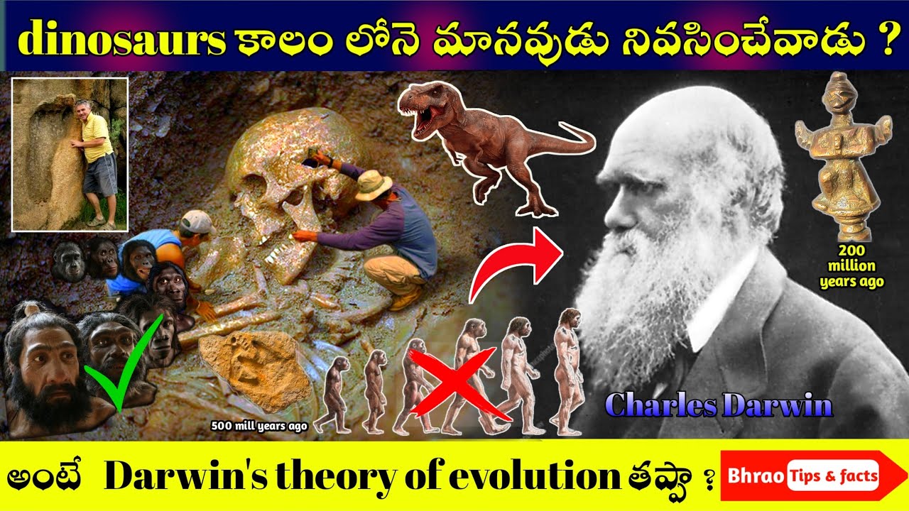 Is Darwin teory of Evolution Real ? in telugu || Bhrao tips & Facts ...