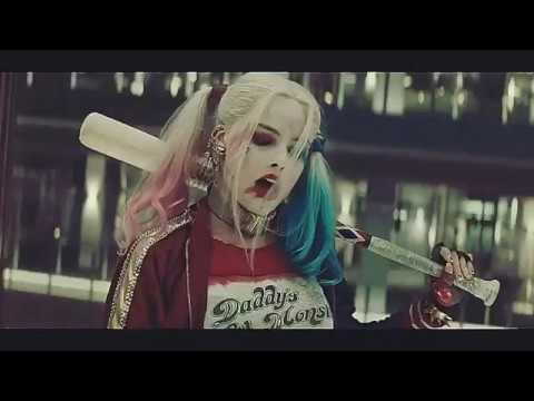 Harley Quinn | hi bich