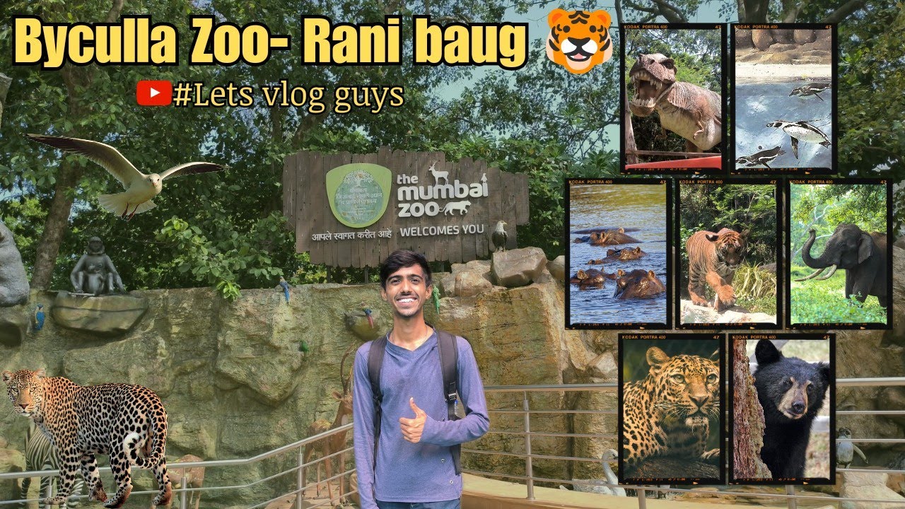 Byculla Zoo - Rani baug 🐯🐘🐼 || Mumbai Zoo || Veermata Jijabai Bhosale ...