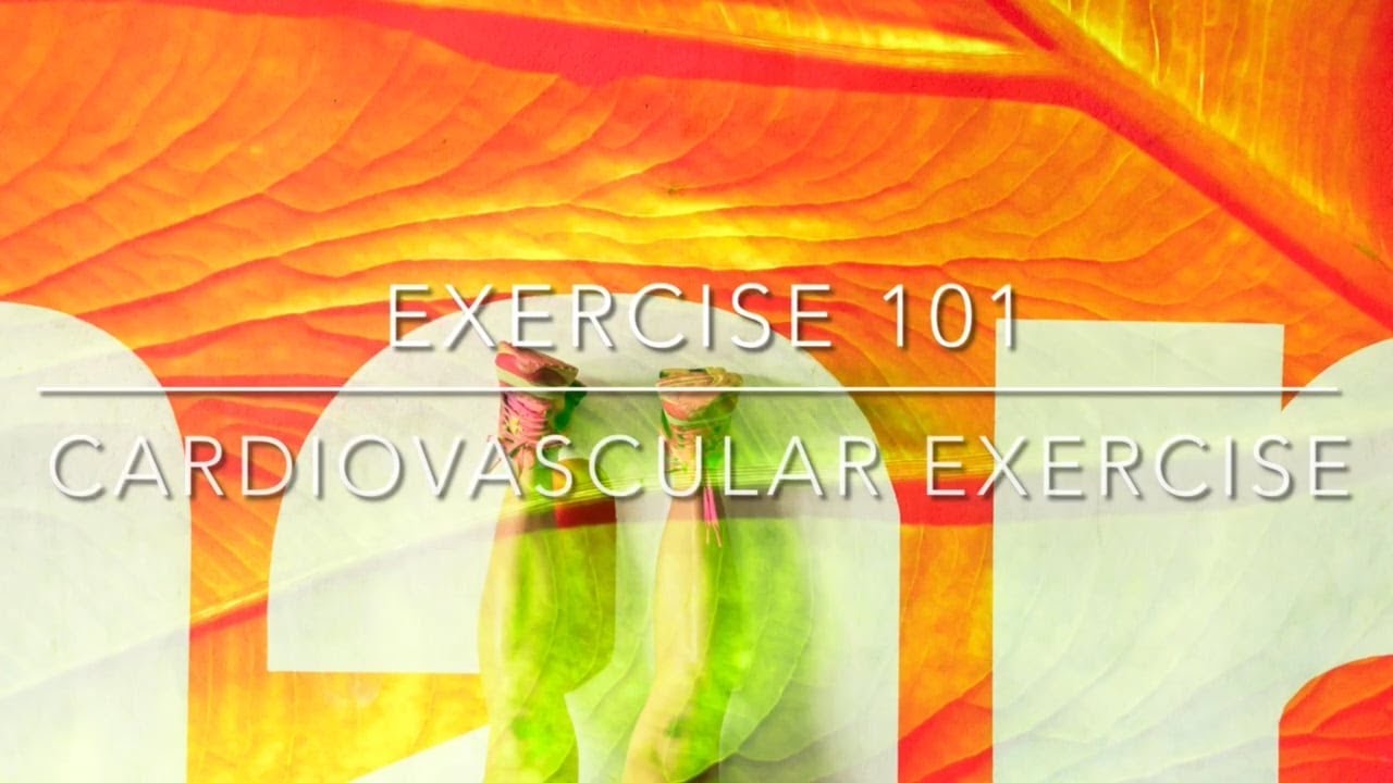 Exercise 101 Episode 2: Cardiovascular or Aerobic activity - YouTube