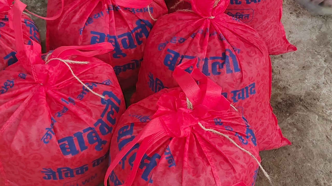 #बाबूवली #जैविक #कम्पोस्ट #खाद #SLWM #द्वारा #निर्मित #प्रखण्ड ...