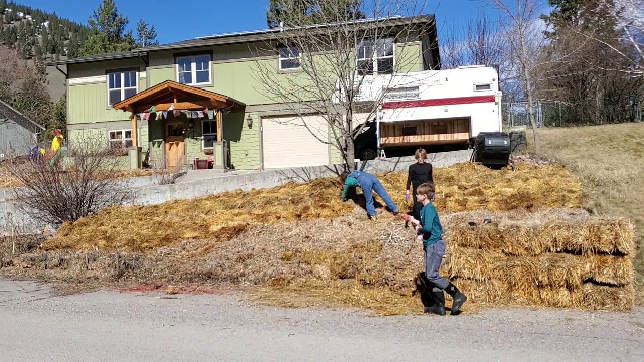 Laying Spring Straw with Help 💚 - YouTube