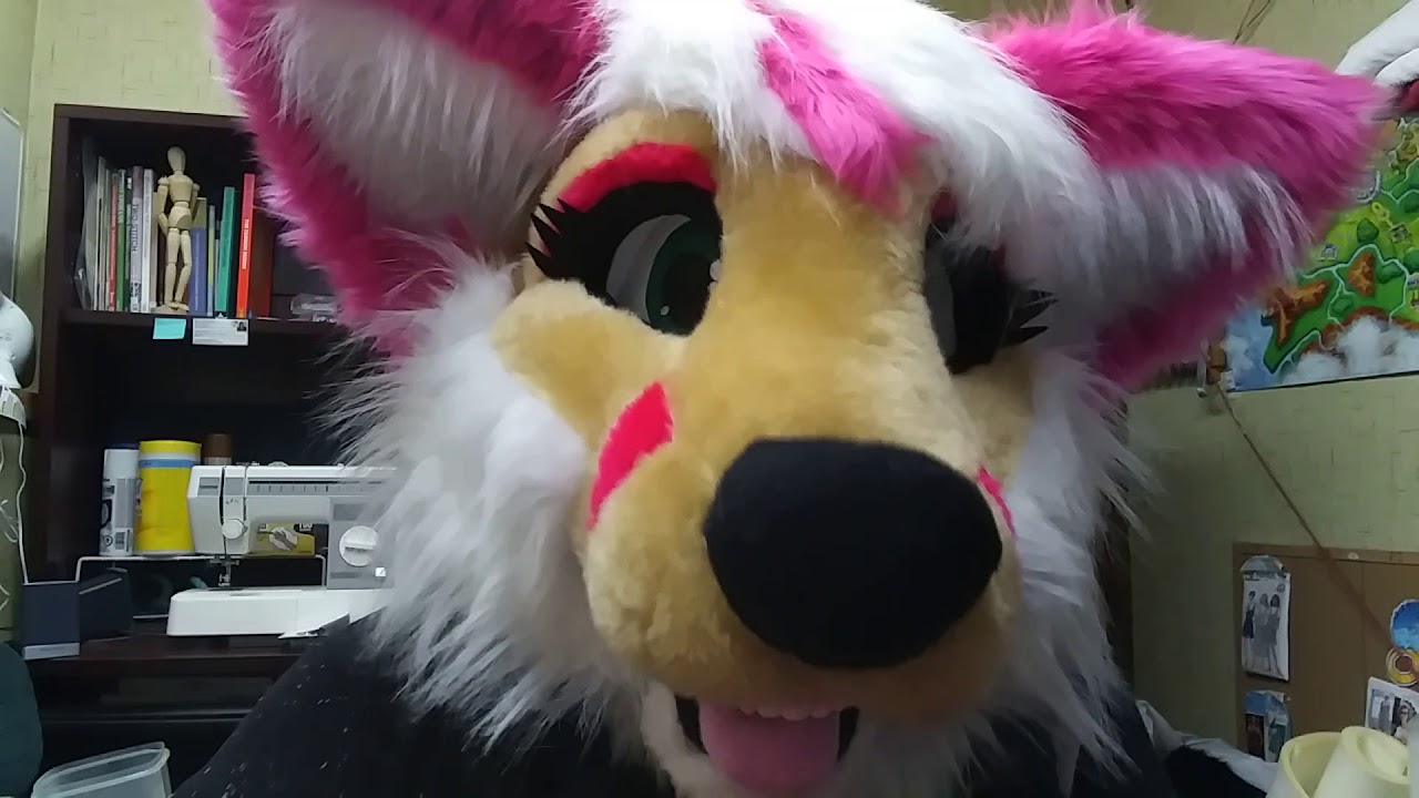Why I Stopped Using FurBuy - YouTube