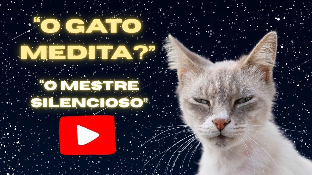 "Os Gatos Estão Meditando? A Verdade Silenciosa Que Poucos Percebem ...