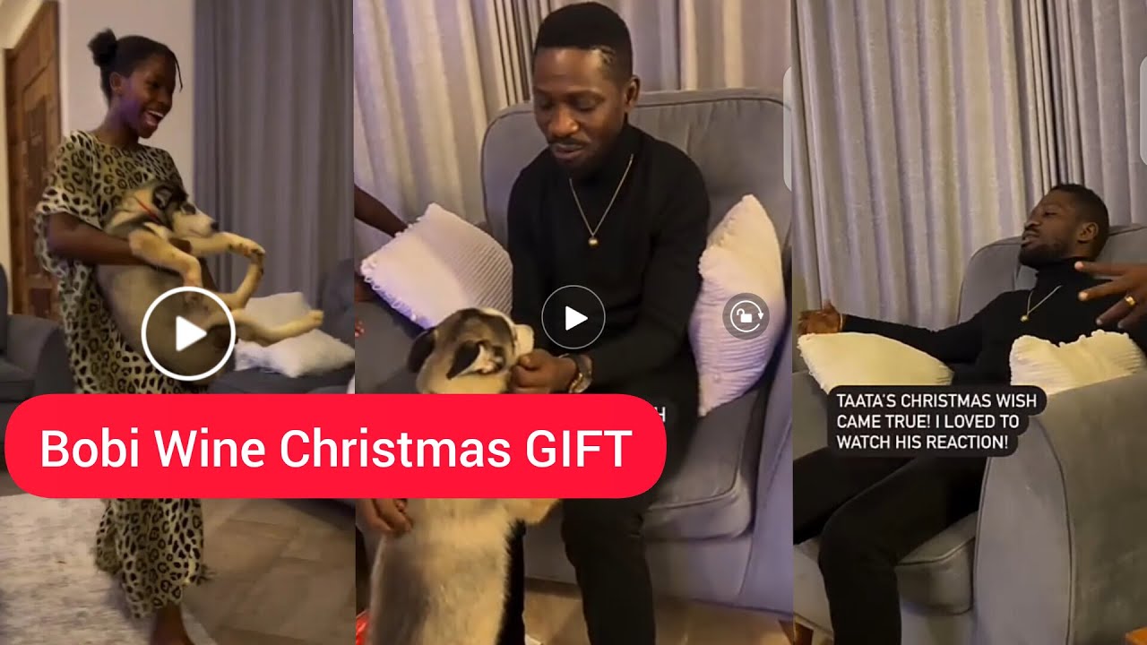 Wooooooow !!! BOBI WINE'S CHRISTMAS GIFT - YouTube