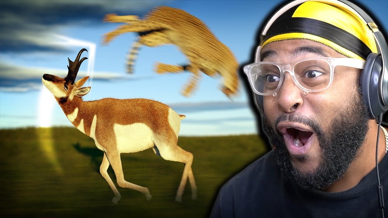 NORTH AMERICA'S OP ANIMAL ( @TierZoo ) - YouTube