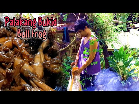 Catching FROG at NIGHT! [Palakang Bukid] Bull Frog Adobo sa Gata - YouTube