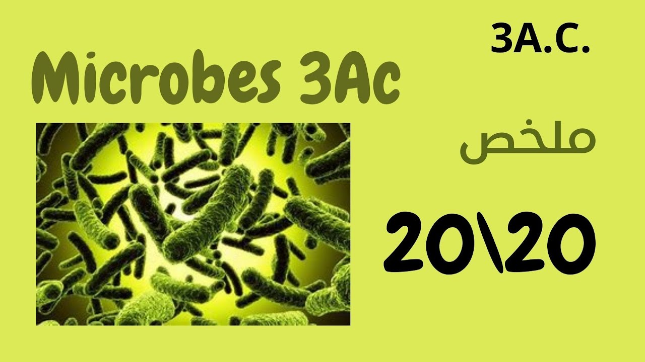 Les Microbes ou micro-organismes 🔺 Cours SVT 3AC (3eme Année Collège ...