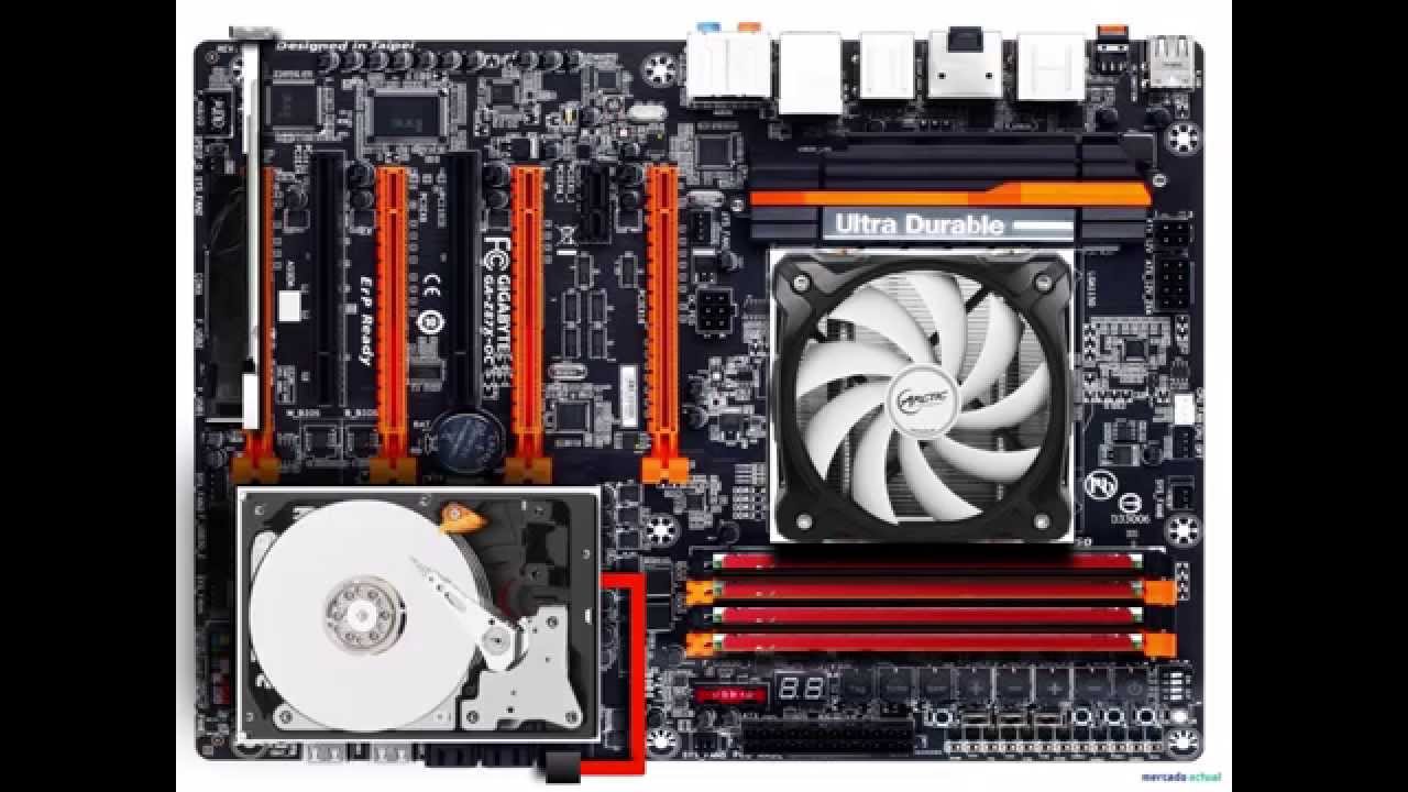 TEMA 2 EL HARDWARE - YouTube