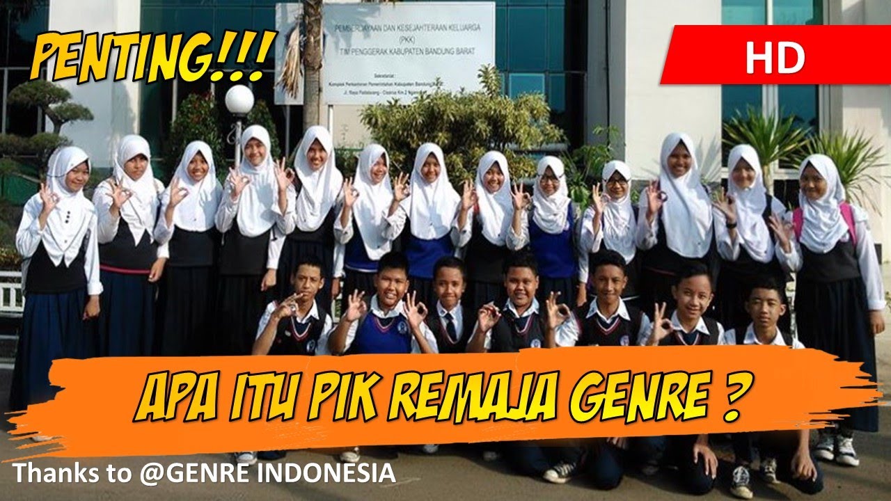 Apa Itu PIK REMAJA GenRe - YouTube