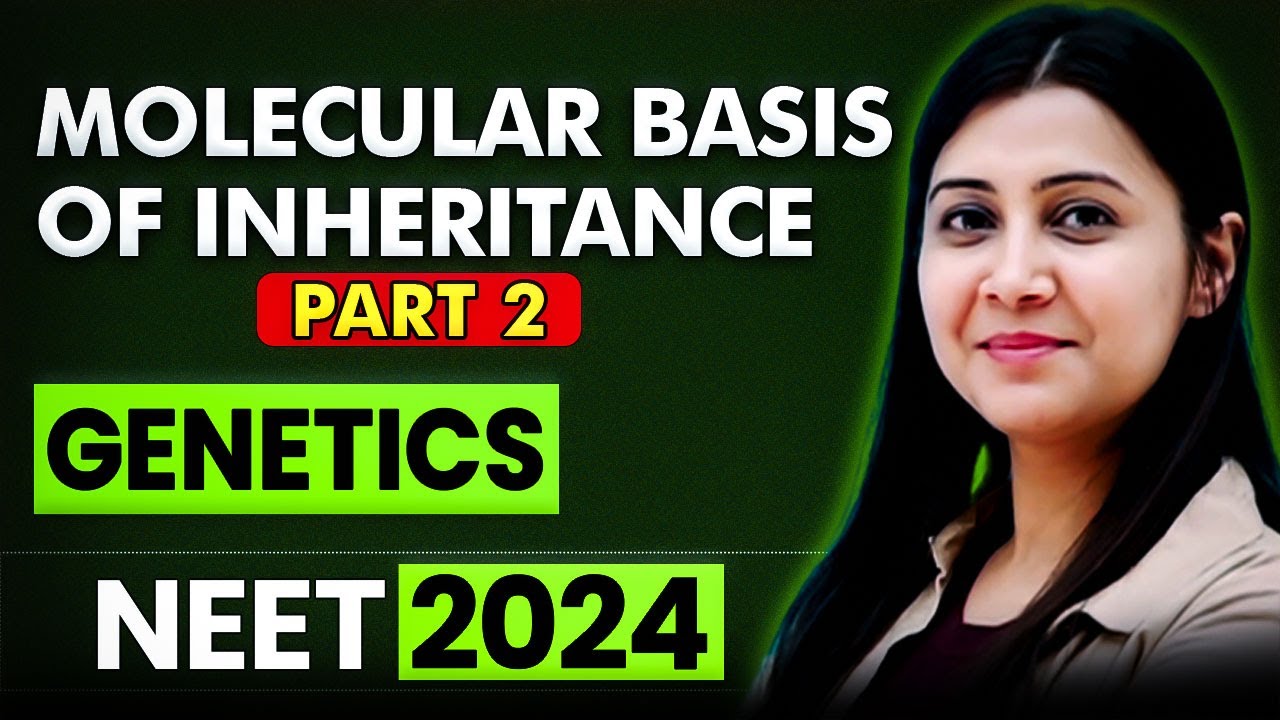 Molecular Basis Of Inheritance | Part 2 | Genetics | 𝗡𝗘𝗘𝗧 𝟮𝟬𝟮𝟰 | Tulika Mam - YouTube