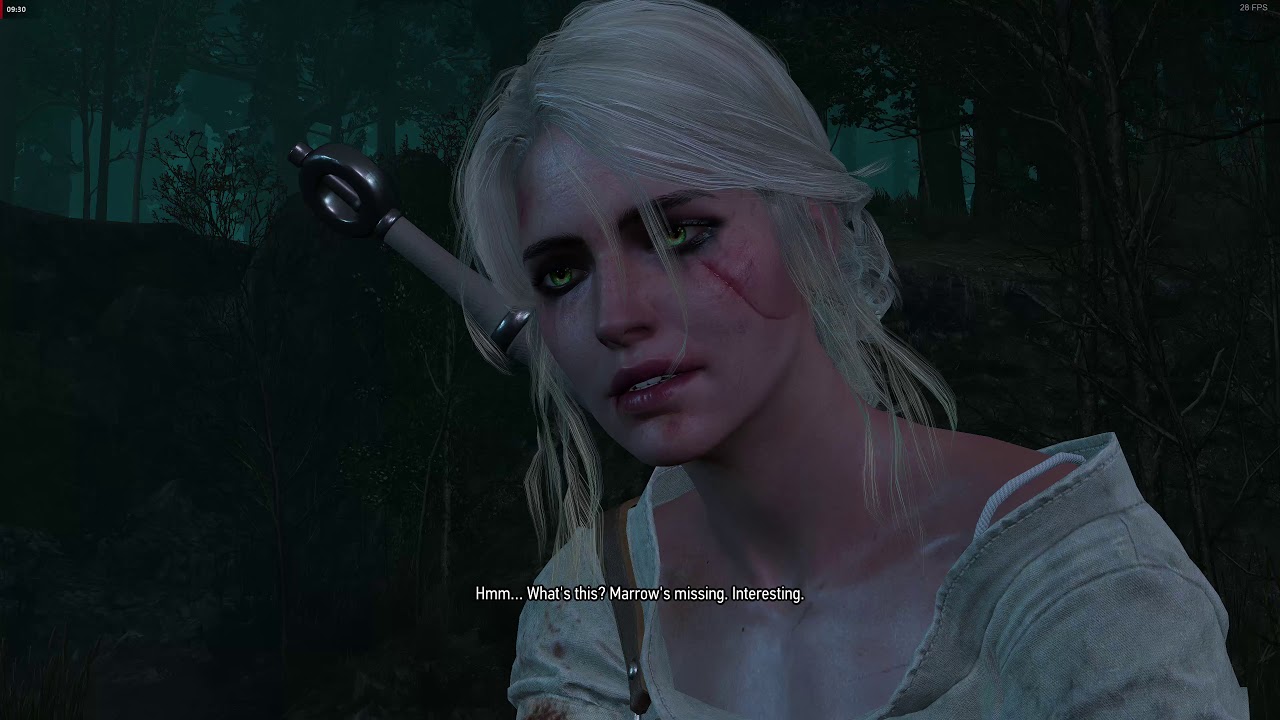 The Witcher 3: Wild Hunt# 4K Dolby Atmos Family Matters Pellar's Hut ...
