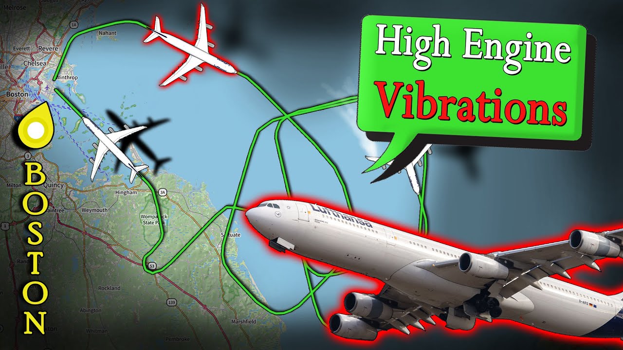 BIRD STRIKE + ENGINE VIBRATIONS | Plane Grounded for 6 Days at Boston ...